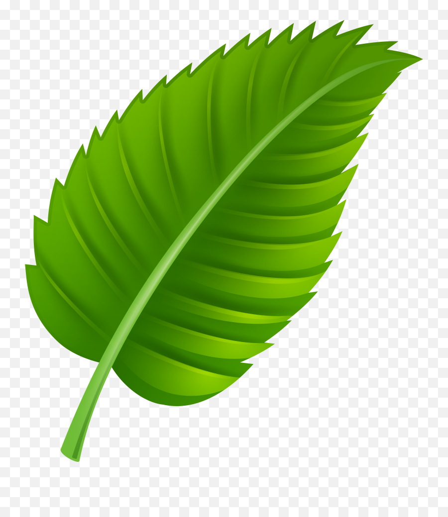 Green Leaf Png Hd Free Green Leaf Hd Emoji Leaf Emoji Transparent