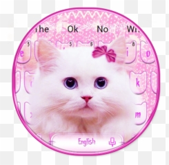 Cat Ok Sticker - Cat Emoji,Cat With Ok Emoji - free transparent emoji ...