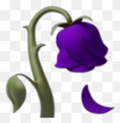Flor Violet Violeta Emoji Freetoedit - Flower Emoji Png,Violet Emoji ...