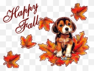 Transparent Fall Orange Png Clipart Pict - Transparent Background Fall ...