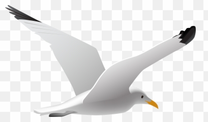 Free transparent seagull emoji images, page 1 - emojipng.com