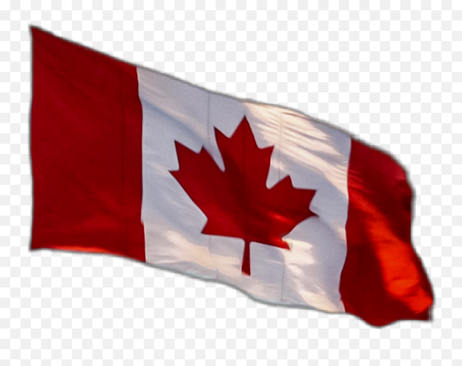 Canadianflag Canadaflag Flag Canada Canada Emoji Canadian Flag Emoji Canadianflag Canadaflag Flag Canada Canada Emoji Canadian Flag Emoji
