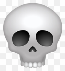Human Skull Symbolism Skull And Crossbones Symbols Of Death - Death ...