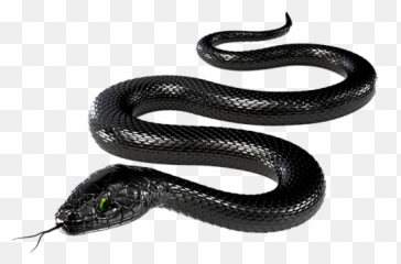 Snake Clipart Black Mamba Snake Black - Black Mamba Clipart Emoji,Black ...