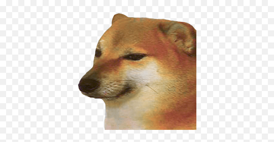 Discord Emojis List Discord Street - Cheems Hello,Fox Emoji - free ...