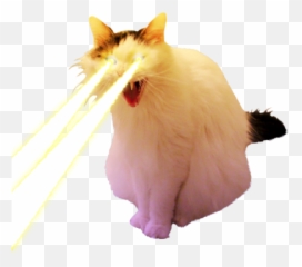 Cat Emoji Iphone,Iphone Cat Emoji - free transparent emoji - emojipng.com
