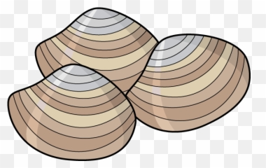 Sea Pearl Emoji Sticker Shell Mermaid Ocean - Sea Pearl Emoji,Clam ...