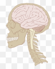 Download Percentage Emoji - Calligraphy,Percent Emoji - free ...