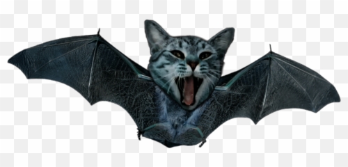 Bat Emoji - Bat,Bats Emoji - free transparent emoji - emojipng.com