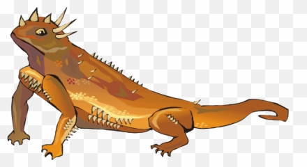 Bearded Dragon Freetoedit Emoji,Bearded Dragon Emoji - free transparent ...