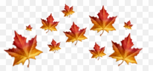 Fall Clipart Maple Tree Fall Maple Tree Transparent Free - Transparent ...