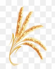 Wheat Clipart - Wheat Grain Transparent Emoji,Wheat Emoji - free ...