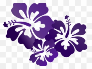 Hibiscus Tropical Flower Hawaii Luau - Flor Tropical Desenho Png Emoji ...