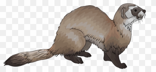 Psy I Koty - Emotki Gify I Obrazki Bloogpl Cute Hope You Have A ...