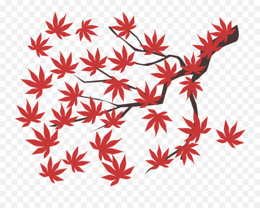 Maple Leaf Daun Maple Png Emoji Maple Syrup Emoji Free Transparent Maple Leaf Daun Maple Png Emoji Maple Syrup Emoji Free Transparent
