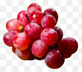 Greg Heffley Png - Greg Diary Of A Wimpy Kid Greg Heffley Diary Of A ...