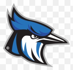 Bluejay Bird Blue - Blue Jay Emoji,Blue Jays Emoji - free transparent ...