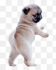 Free transparent mop emoji images, page 1 - emojipng.com