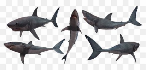 Shark Emoji,Shark Emoji - free transparent emoji - emojipng.com