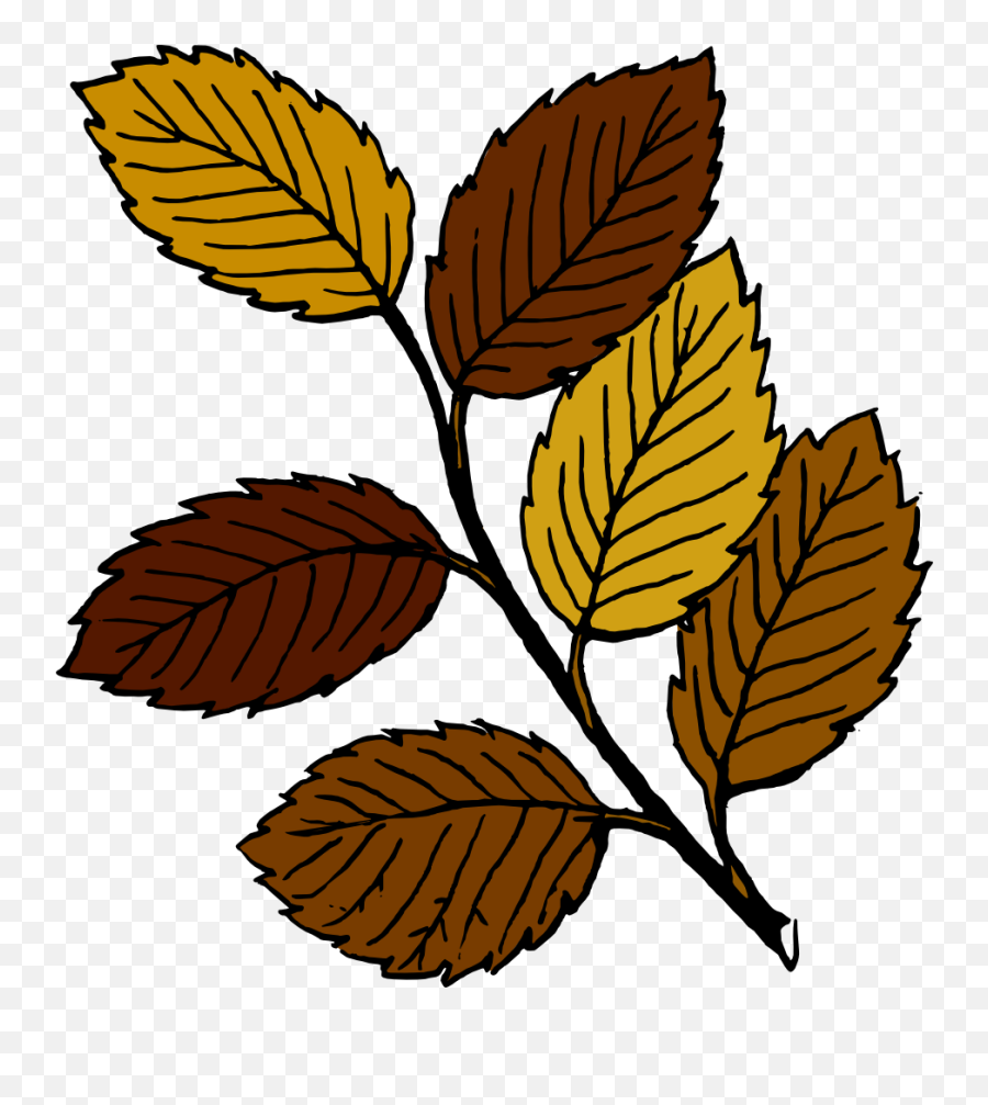 Image Royalty Free Stock Free Png Files Leaves Clip Art Emoji Falling Image Royalty Free Stock Free Png Files Leaves Clip Art Emoji Falling